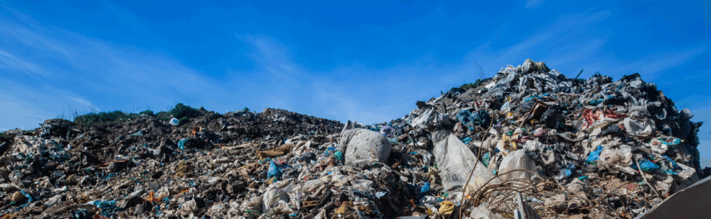 Serviceverpackungen Verpackungsgesetz | Deutsche Recycling